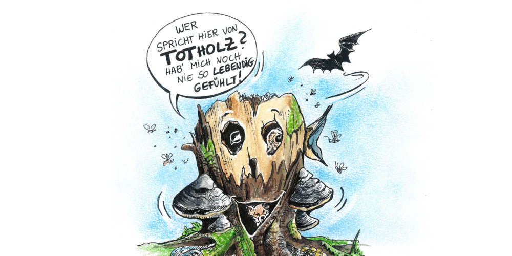 Totholz - die Lebensquelle - Alter-Schlachthof